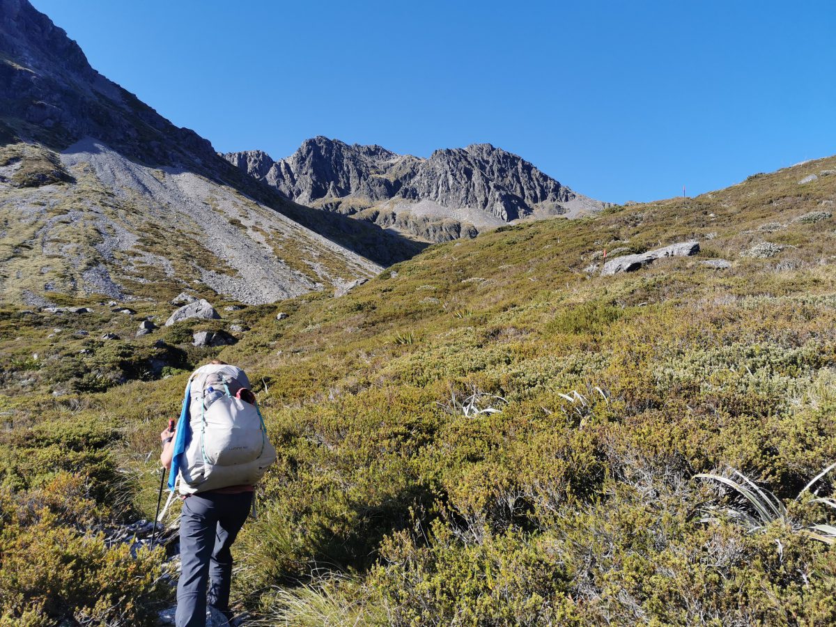 Day 96 – Upper Travers Hut to Blue Lake Hut – Matt's Te Araroa Journey ...