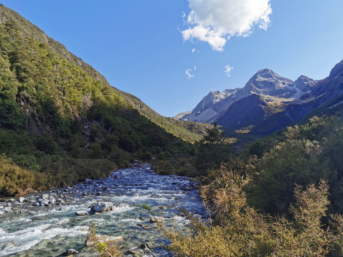Day 96 – Upper Travers Hut to Blue Lake Hut – Matt's Te Araroa Journey ...