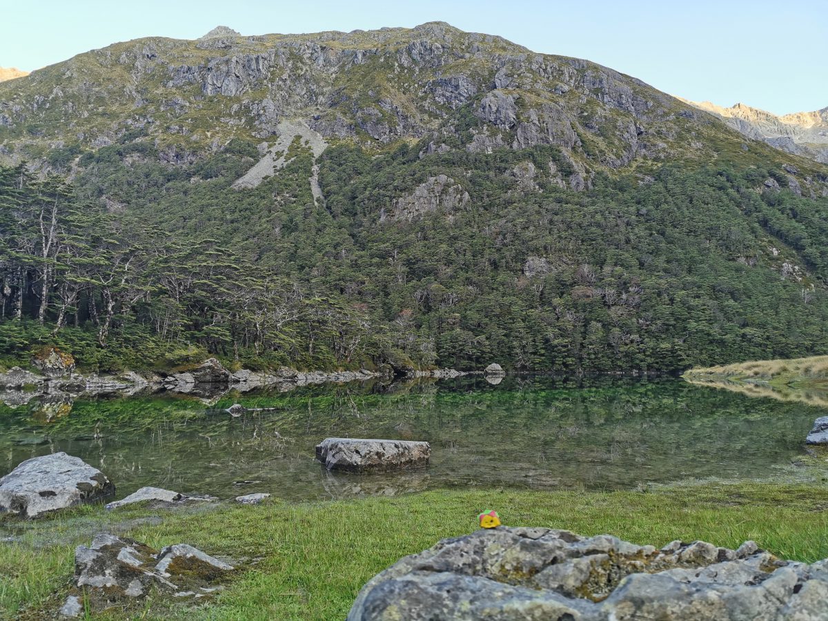 Day 96 – Upper Travers Hut to Blue Lake Hut – Matt's Te Araroa Journey ...